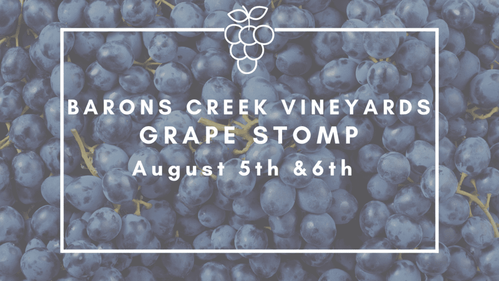 Granbury Grape Stomp Saturday | Barons Creek Vineyards