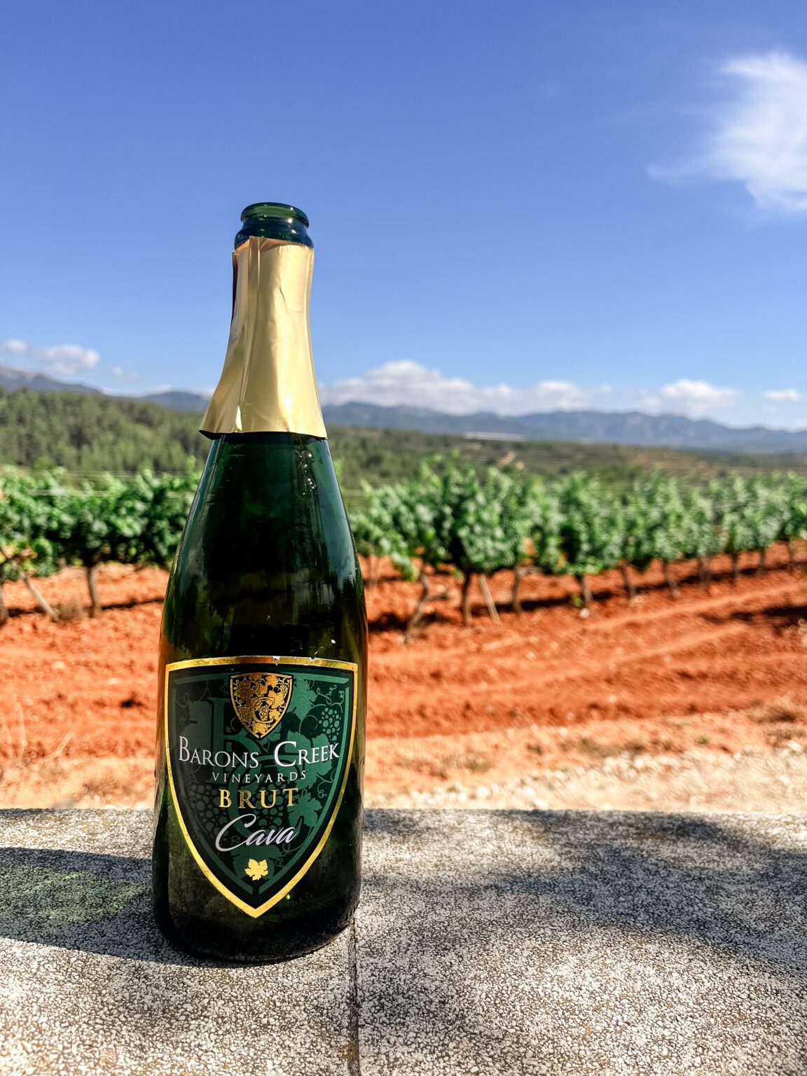 Spanish Wine Adventure | Barons Creek Vineyards